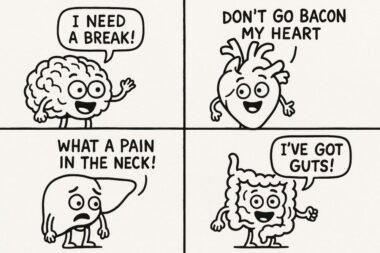 200+ Anatomy Puns & Jokes to Keep Your Funny Bone Alive - Bluenote Puns